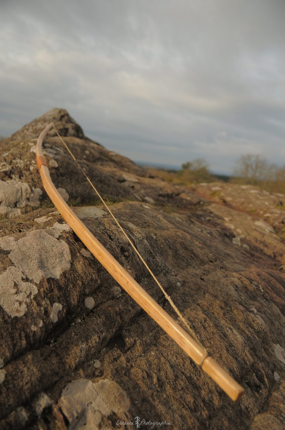 Expérimentations - Arc Bois Chasse